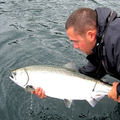 Best Time for Fishing in BC | Info On BC's Fishing Seasons