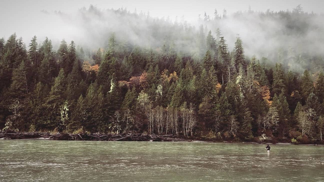 Fall Salmon Fishing on Wild Rivers near Vancouver, BC